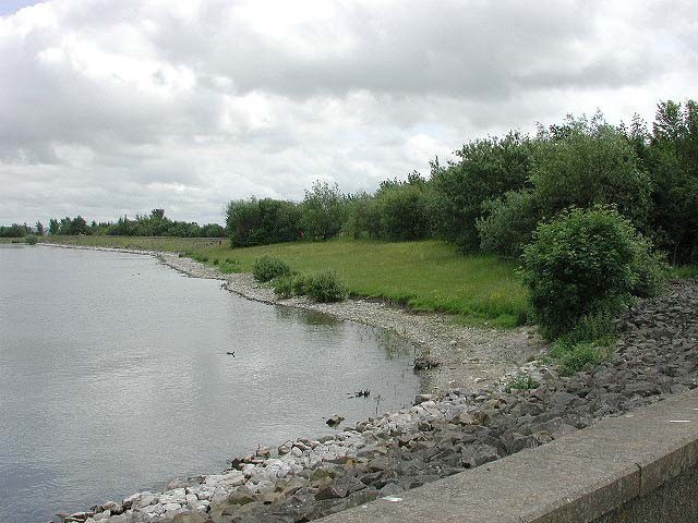 Draycote Water Birdwatching Site - BirdGuides