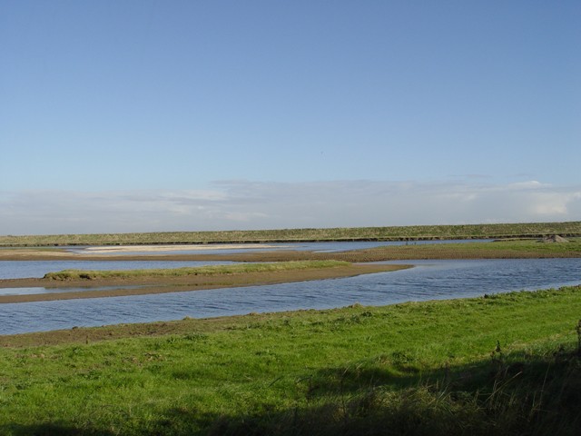 Freiston Shore RSPB Birdwatching Site - BirdGuides