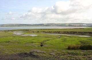 Isley Marsh RSPB Birdwatching Site - BirdGuides