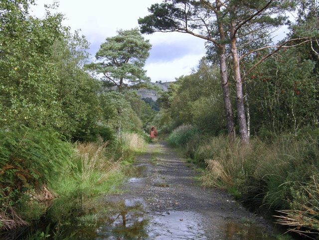 Foulshaw Moss Birdwatching Site - BirdGuides