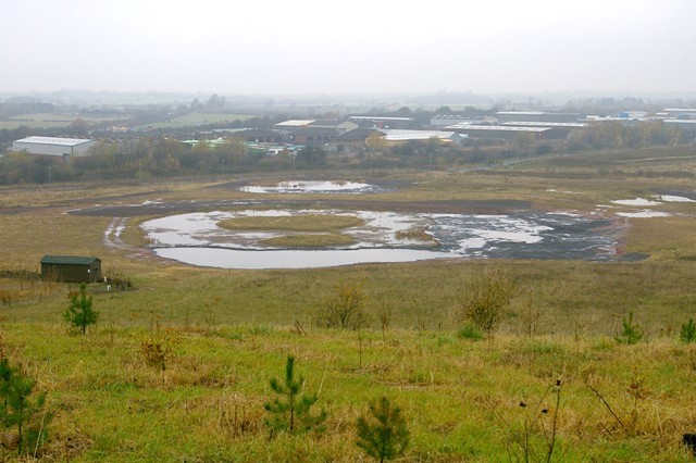 North Anston Pit Top Birdwatching Site - BirdGuides