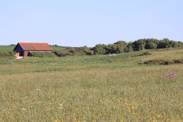 Bempton Cliffs RSPB Birdwatching Site - BirdGuides