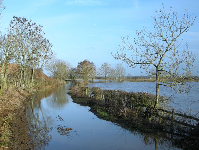 Linstock Birdwatching Site - BirdGuides