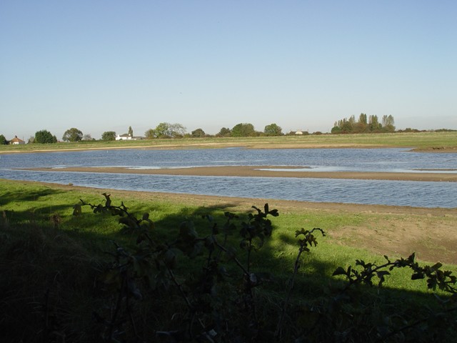 Freiston Shore RSPB Birdwatching Site - BirdGuides