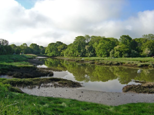 Fremington Birdwatching Site - BirdGuides