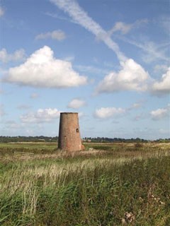 Buckenham Marshes RSPB Birdwatching Site - BirdGuides