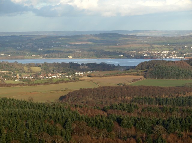 Mamhead Birdwatching Site - BirdGuides