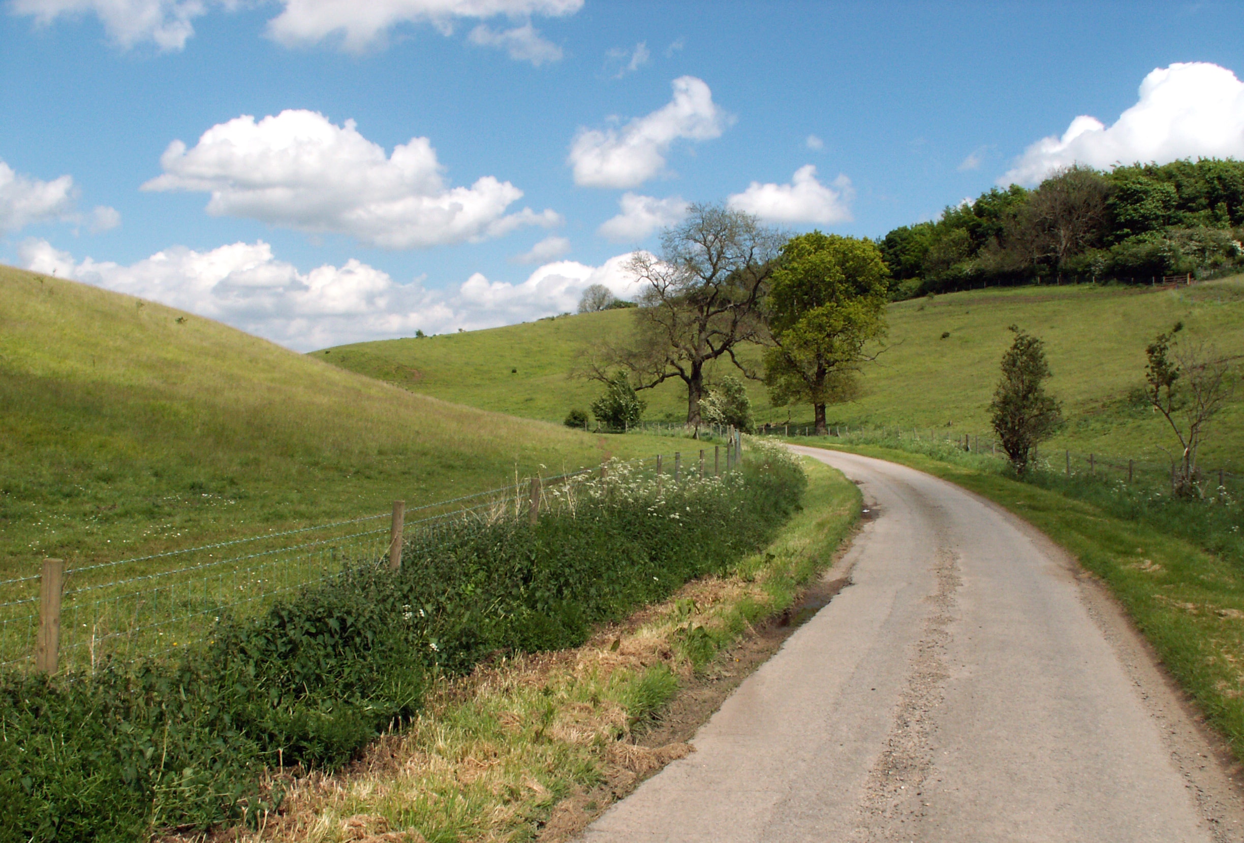 Birdwatching Sites in Lincolnshire - BirdGuides