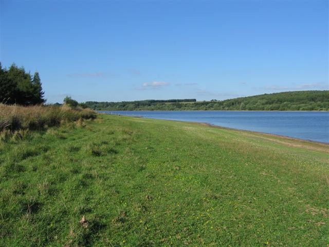 Blithfield Reservoir Birdwatching Site - BirdGuides