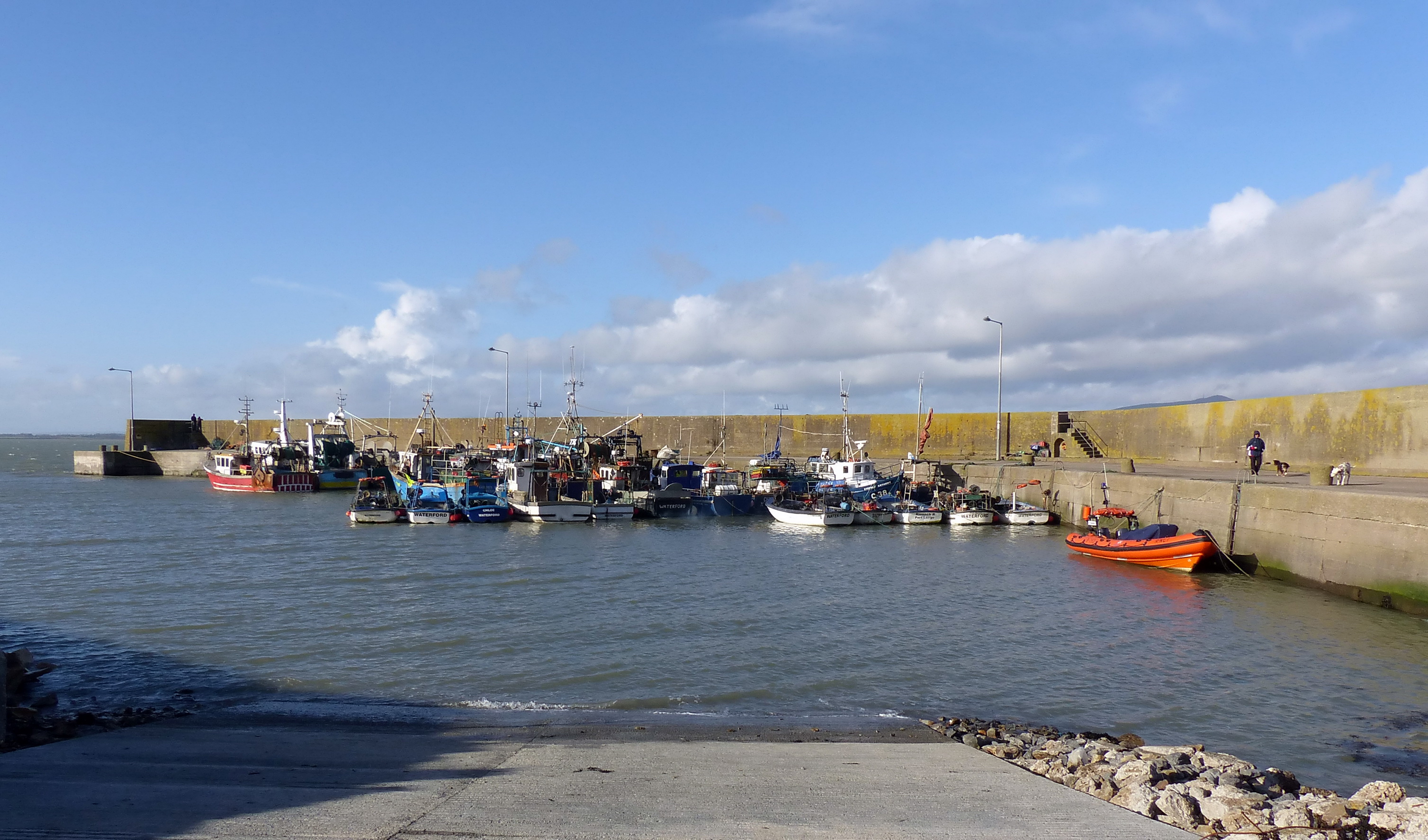Helvick Head Birdwatching Site - BirdGuides