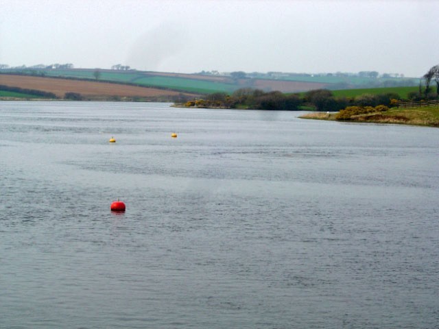 Tamar Lakes Birdwatching Site - BirdGuides