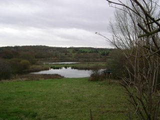 Sandwell Valley RSPB Birdwatching Site - BirdGuides