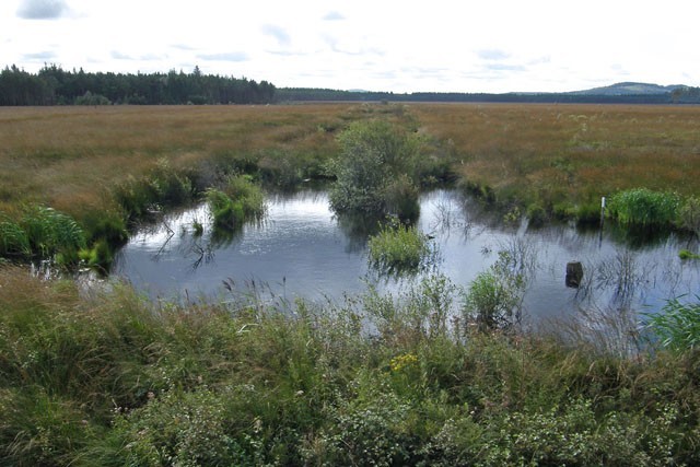 Foulshaw Moss Birdwatching Site - BirdGuides