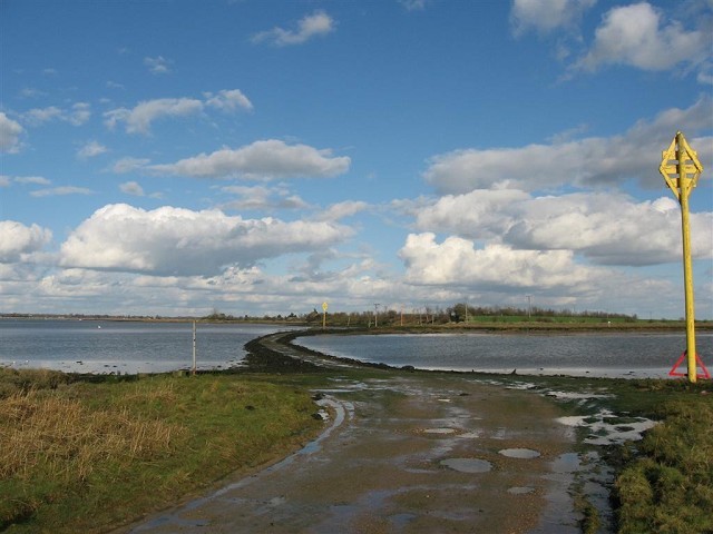 Northey Island (permit only) Birdwatching Site - BirdGuides