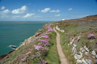 South Stack RSPB Birdwatching Site - BirdGuides