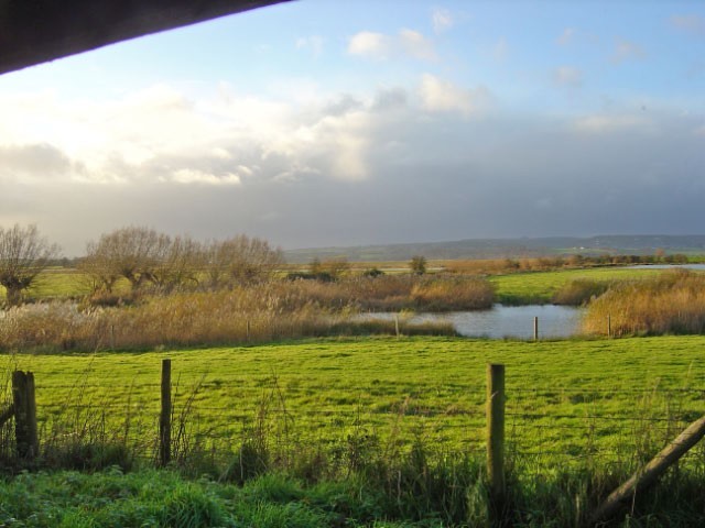 Slimbridge WWT Birdwatching Site - BirdGuides
