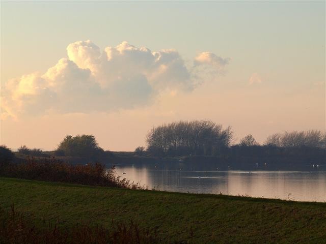 Welton Water Birdwatching Site - BirdGuides