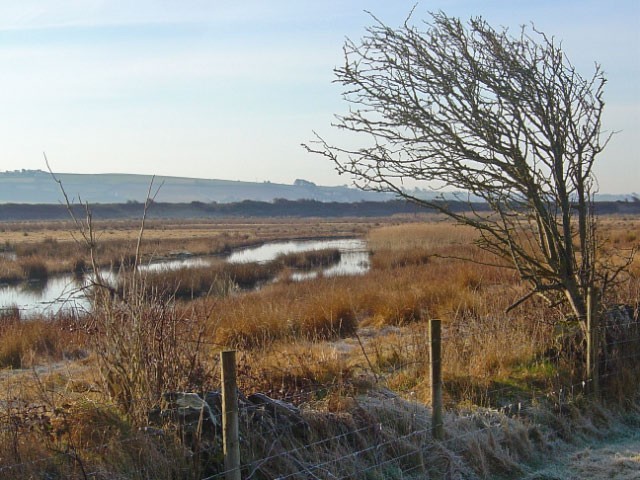 Horsey Island Birdwatching Site - BirdGuides