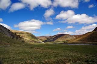 Findhorn Valley Birdwatching Site - BirdGuides
