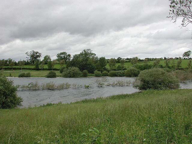 Draycote Water Birdwatching Site - BirdGuides