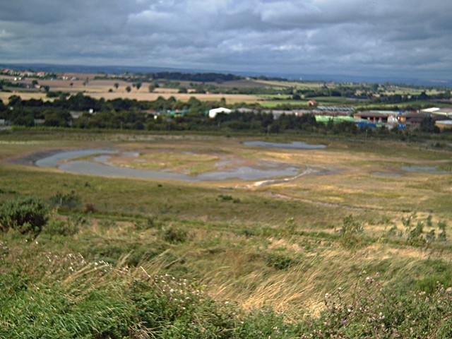 North Anston Pit Top Birdwatching Site - BirdGuides