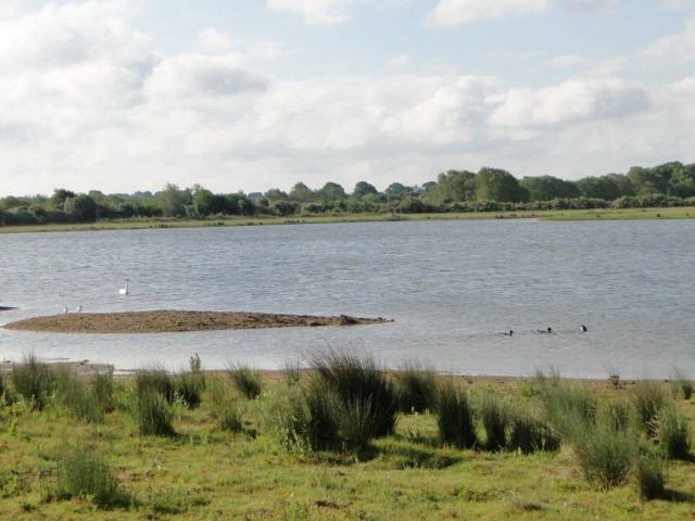 Standlake Birdwatching Site - BirdGuides