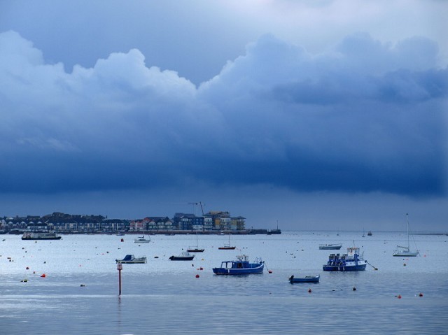 Exmouth Birdwatching Site - BirdGuides