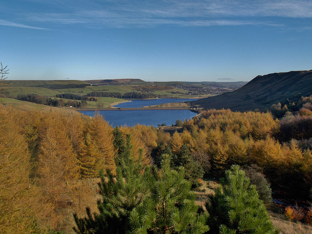 Calf Hey Reservoir Birdwatching Site - BirdGuides